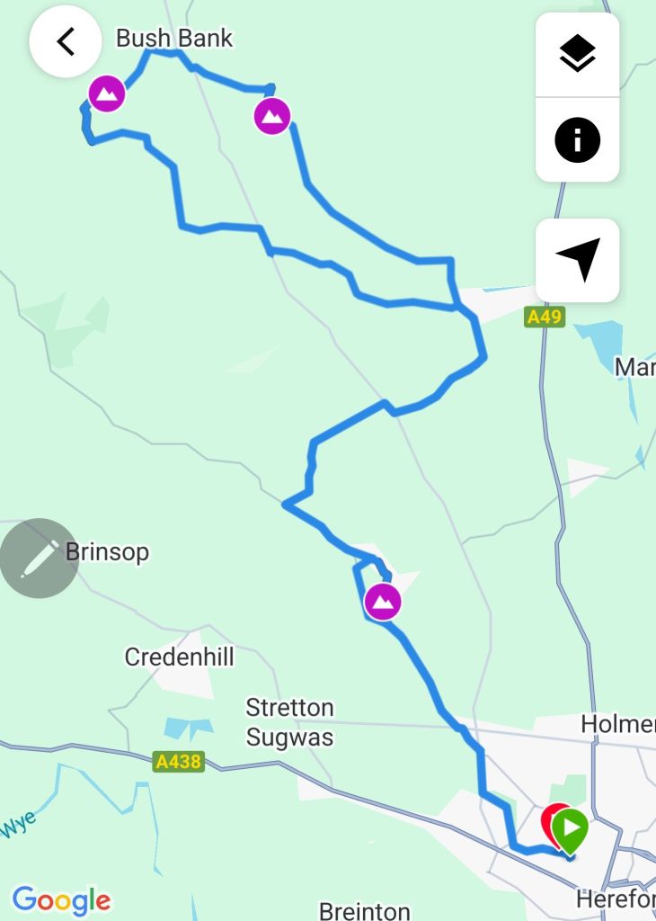 Let's Ride - Bush Bank loop