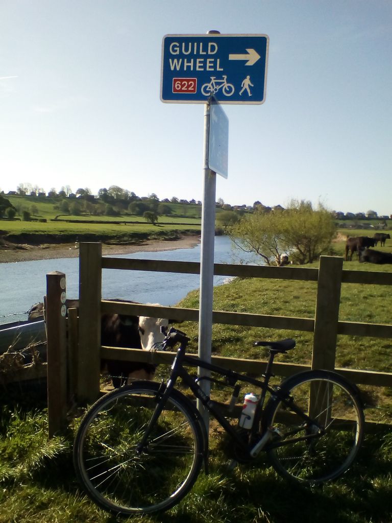 Let's Ride - Guild Wheel