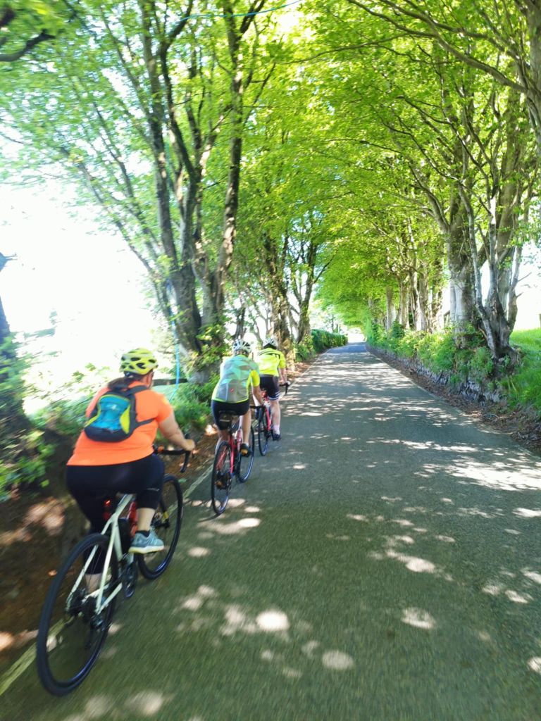 Let's Ride - Bethania loop