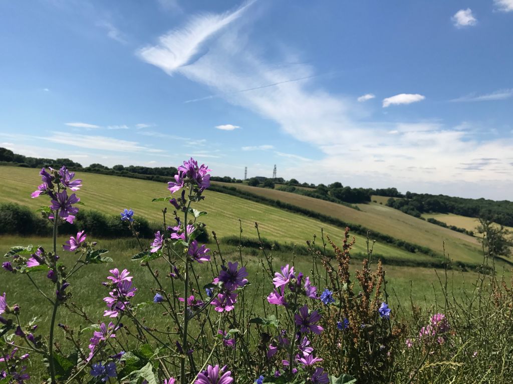 Let's Ride - Out to Surrey - Botley Hill Farm House