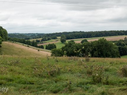 Let's Ride - Crazies Hill to Marlow via Turville