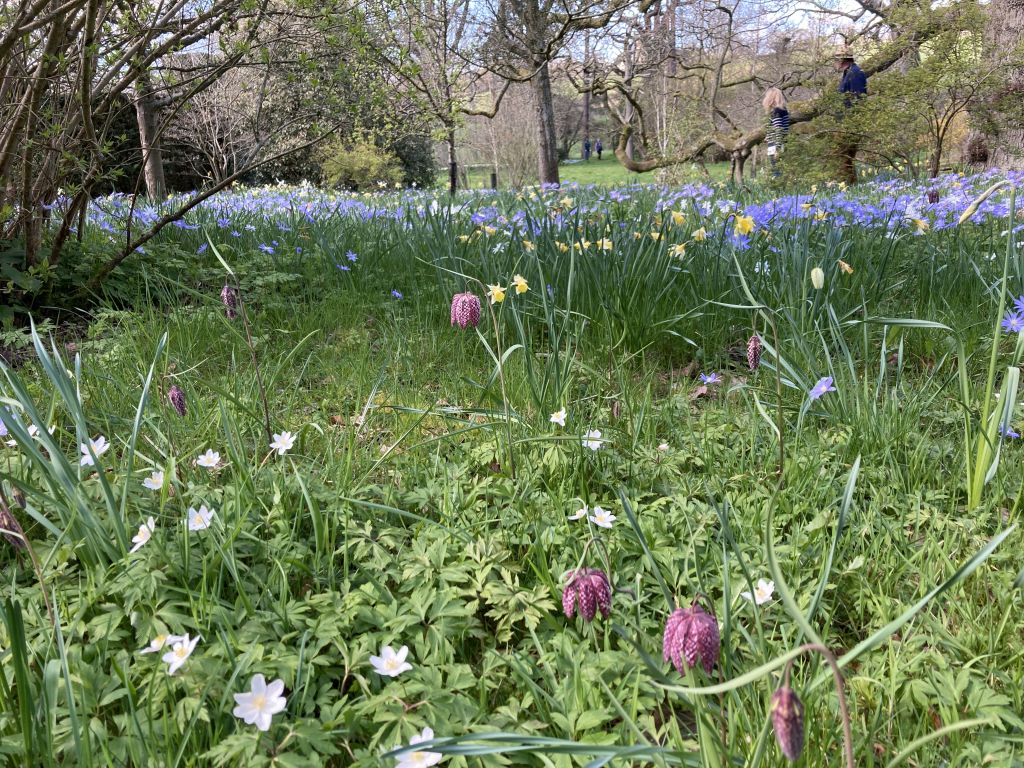 Let's Ride - Celebrating 200 rides an Easygoing Breeze from Sarsden ...