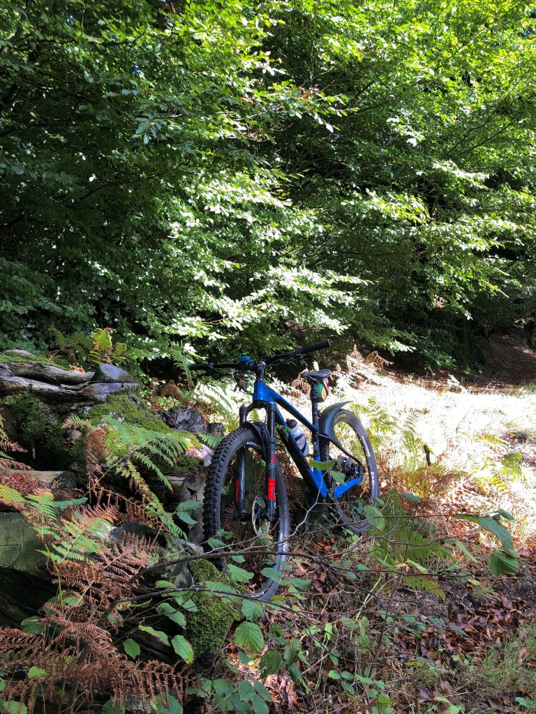 Let's Ride - Last of summer MTB & Gravel