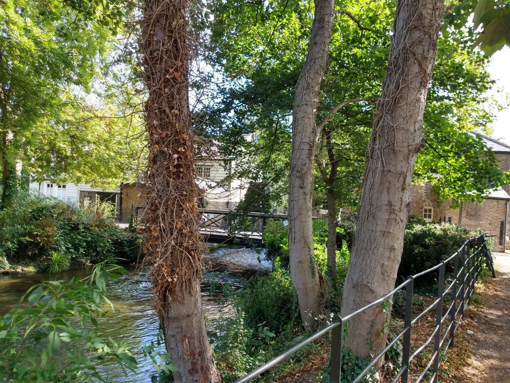 Let's Ride - Croydon, Wandle Trail, Morden Hall Park, Mitcham Common ...
