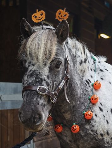 Let's Ride - Keysoe International Cafe Ride