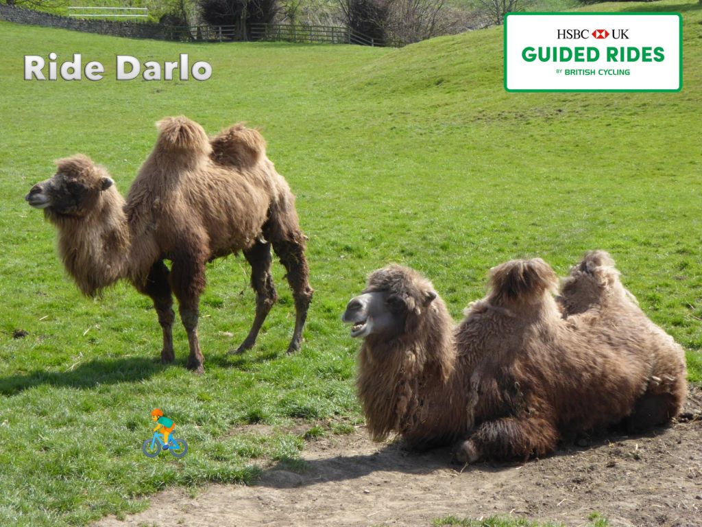 Let's Ride - Ride Darlo - Mainsgill Farm Meander