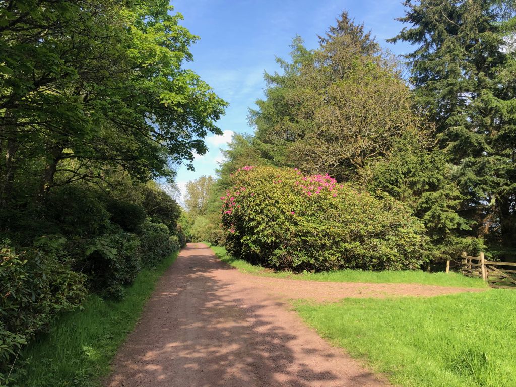 Let's Ride - Carmichael Estate