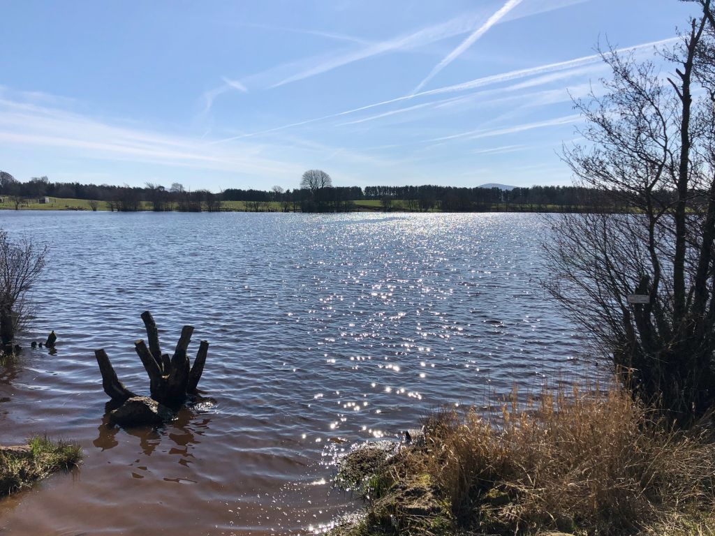 Let's Ride - Pettinain New Bridge and White Loch - unguided Community Ride