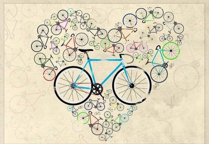 Let's Ride - Sunday Saunter to the Elephant Park