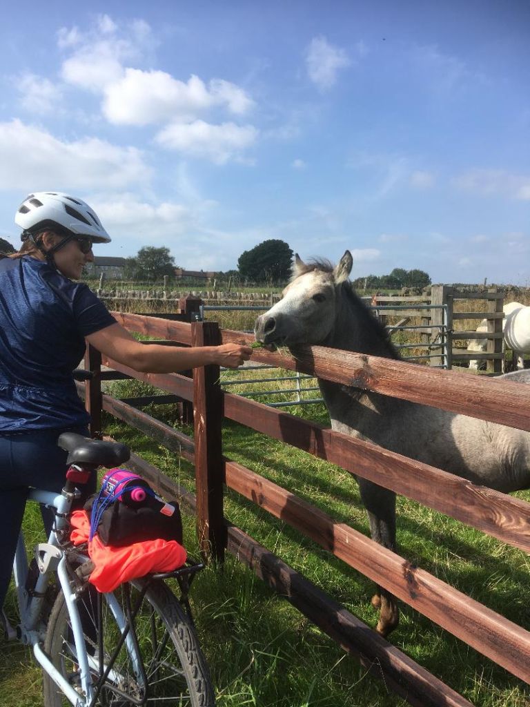 Let's Ride - Tim's Thorp Arch via The Wetherby Railway Path