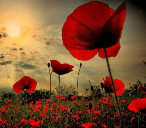 Let's Ride - Remembrance Day service. Magor Square 2 Caldicot