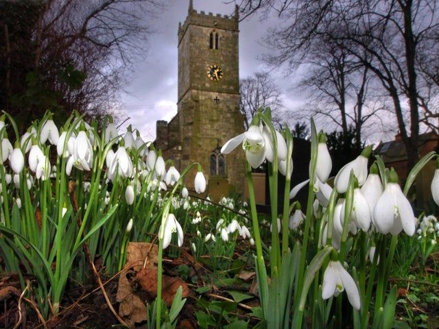 Let's Ride - Cycling to see snowdrops at Kirk Bramwith & Fenwick Circular