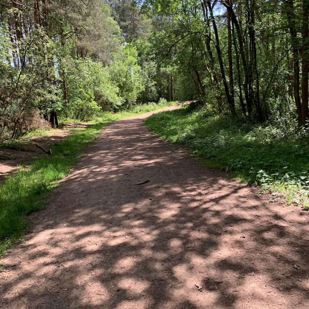 Let's Ride - Discover the Green Loop