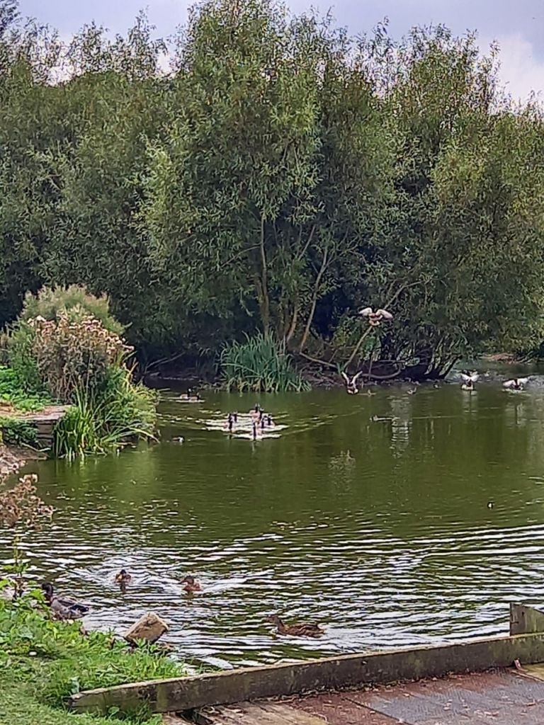 Let's Ride - Ride Leicester Wednesday Evening Leicester Parks Ride #1