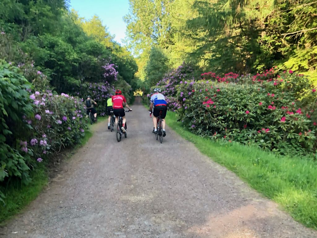 Let's Ride - Carmichael Estate