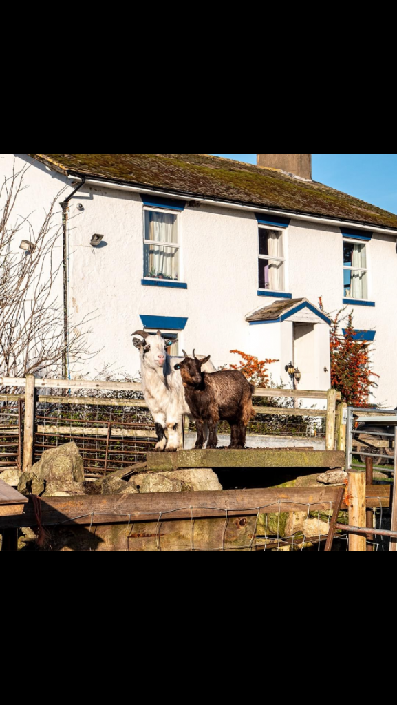 Let's Ride - Boston park farm and Hatfield moors