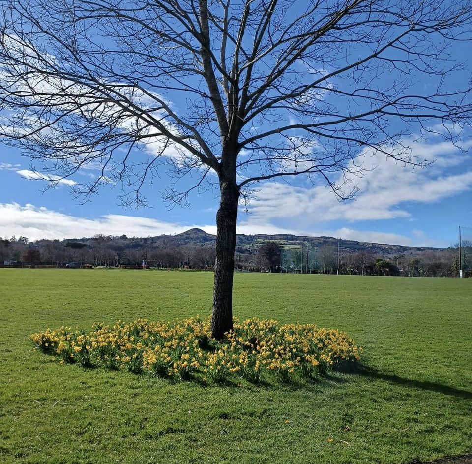 Let's Ride - Breezing out of Northwood Hills 13+ mph
