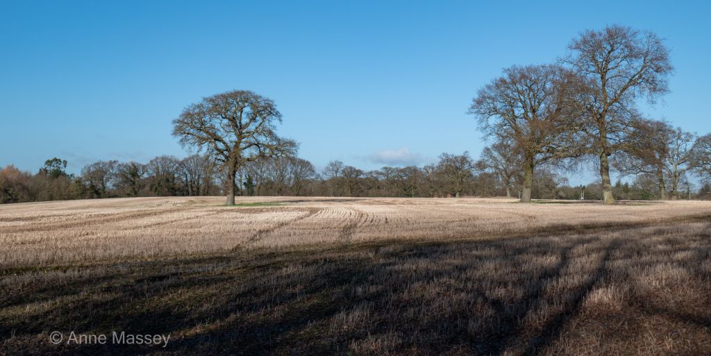 Let's Ride - Woosehill to Billingbear Golf Club