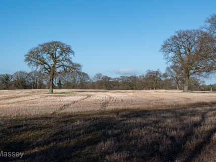 Let's Ride - Woosehill to Billingbear Golf Club
