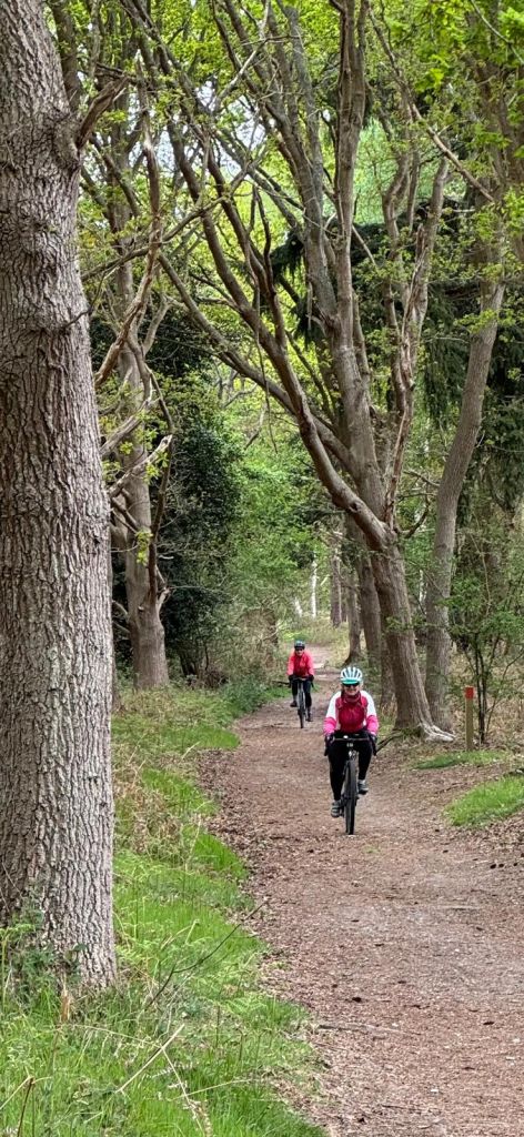 Let's Ride - Breezy Bee ride from Symonds Green - steady ride