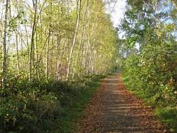 Let's Ride - WATFORD CYCLE HUB: EASY EBURY - FAMILY FRIENDLY RIDE!!