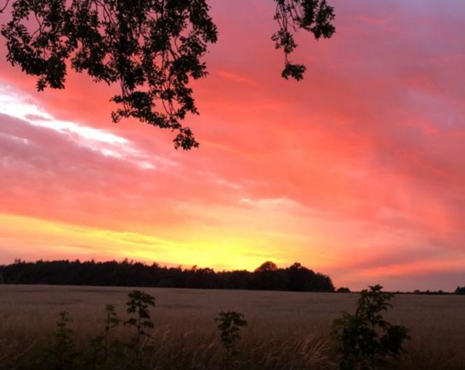 Let's Ride - LCH Evening Breezing: Looping Around Leavesden – On & Off Road