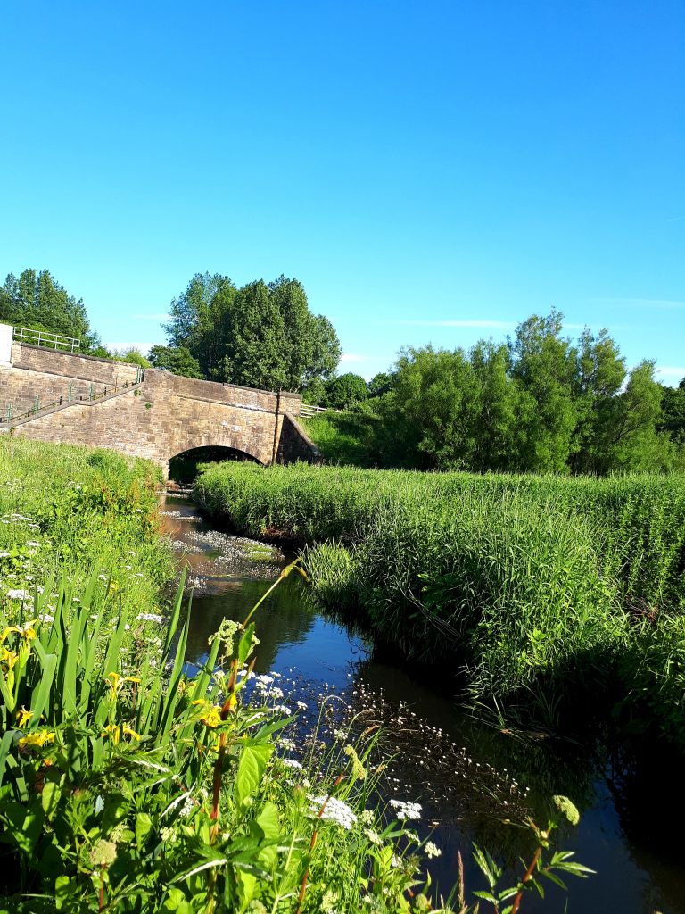 Let's Ride - Bolton - Middlebrook Trail to Visit the Queen - 9 Mile ...