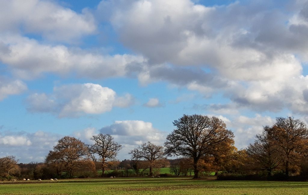 Let's Ride - Morrisons Woosehill (or Cantley) to Shurlock Row
