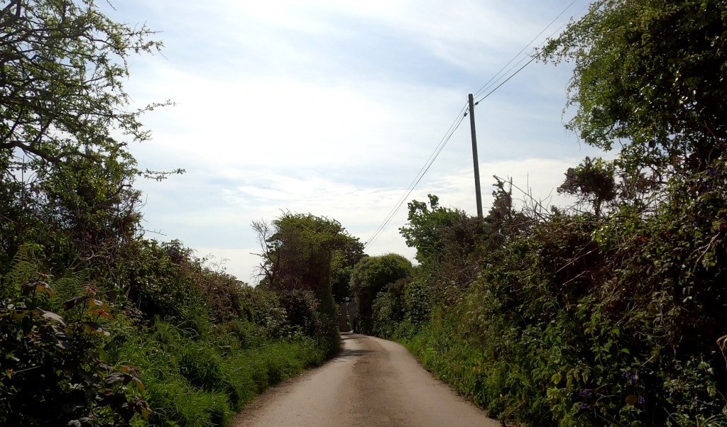 Let's Ride - A Sunday outing