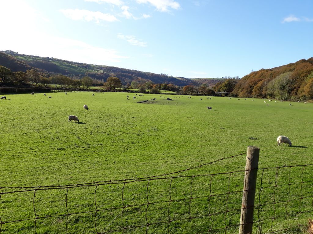 Let's Ride - 20 Miler from Aberystwyth - Cwm Rheidol Return - Rheidol Trail