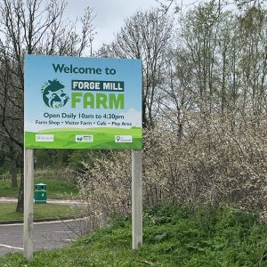 Let's Ride - A leisurely ride to Forge Mill Farm