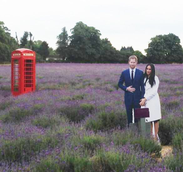 lavender fields croydon