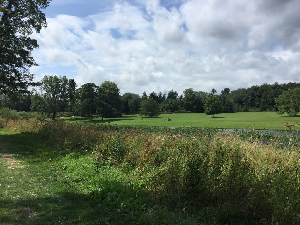 Let's Ride - Breeze, Rock around the block