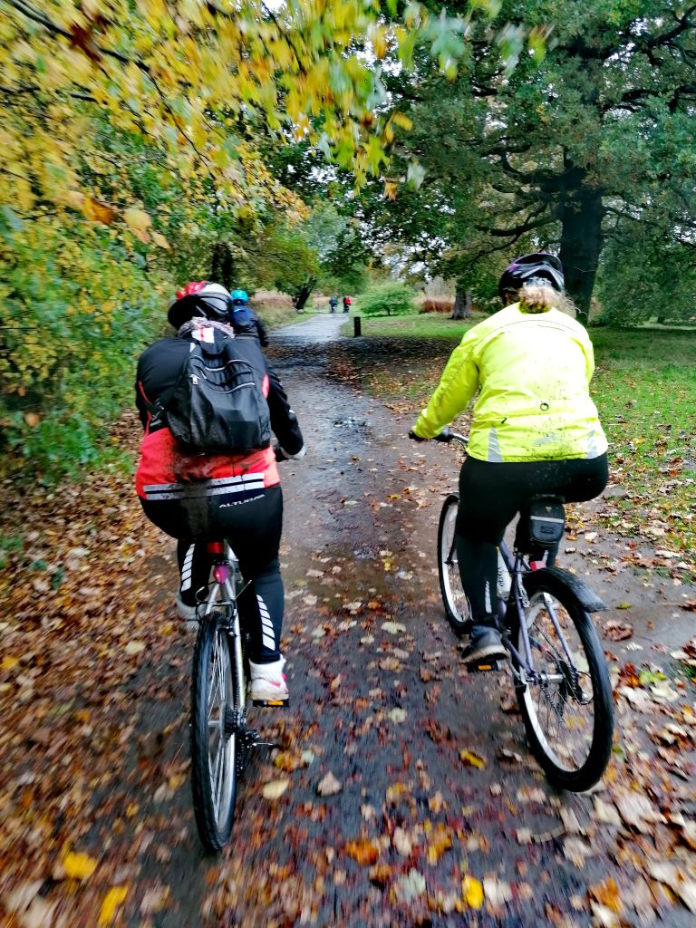 Let's Ride - Sunday Saunter