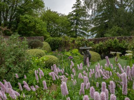 Let's Ride - Mattingley to Odiham Open Garden Visit