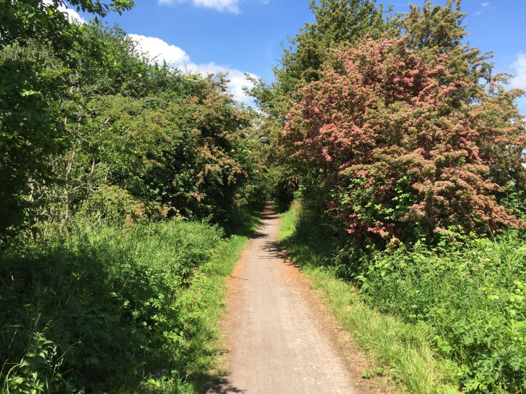 Let's Ride - Chiseldon to Marlborough - The Old Railway Path
