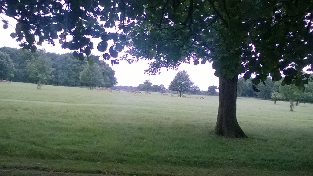 Let's Ride - Debdale Park to Tatton Park