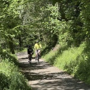 Let's Ride - Goss Moor to Fletchers Bridge loop