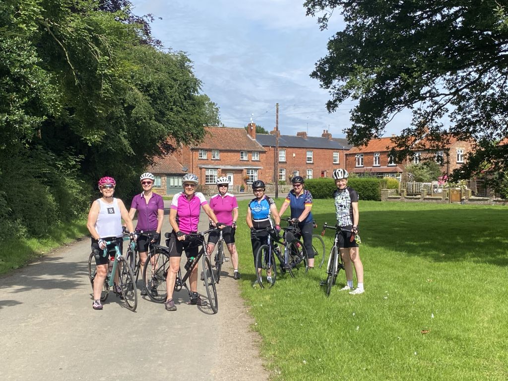 Let's Ride - Groovy Moo