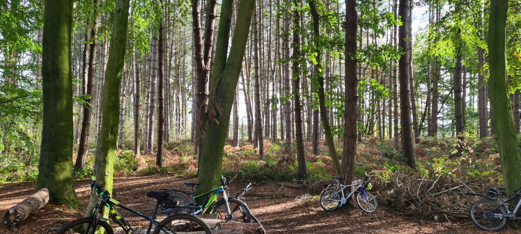 Let's Ride - Fundamentals of Mountain Biking Ride –MTB Ride Whitegate ...