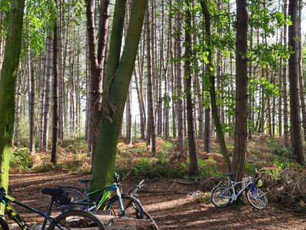 Let's Ride - Fundamentals of Mountain Biking Ride –MTB Ride Whitegate ...