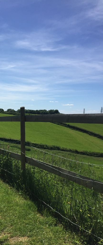 Let's Ride - Out to Surrey - Botley Hill Farm House