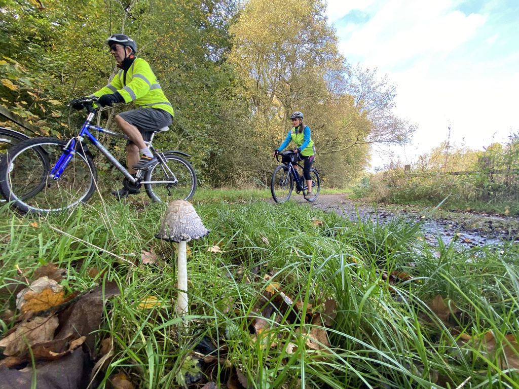 Let's Ride - Leigh Spinners ride to Windy Bank Wood for a taste of Autumn!