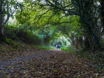 Let's Ride - Mystery tour starting Woosehill