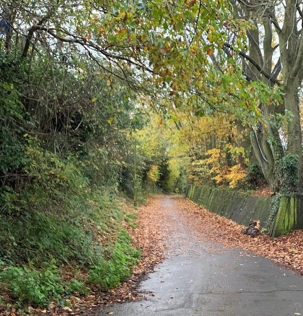 Let's Ride - Cycling UK Stevenage - Easy ABC ride - Helping Herts - Ride 3