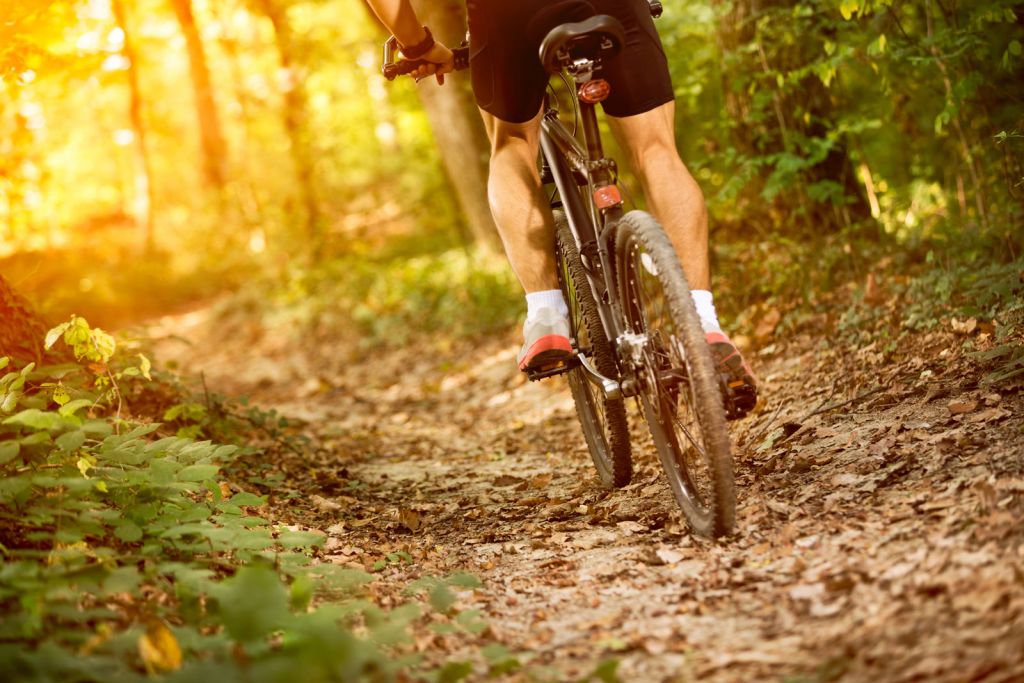 Let's Ride - Improve your fitness – and your cycling