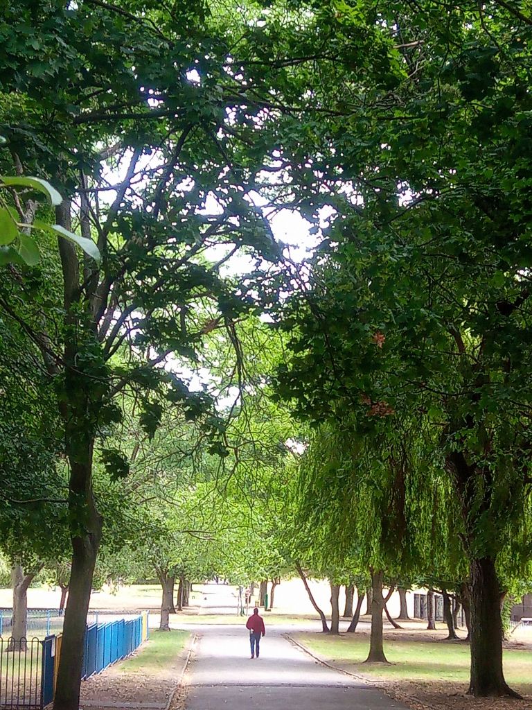 Let's Ride - Brooks and trails circular.