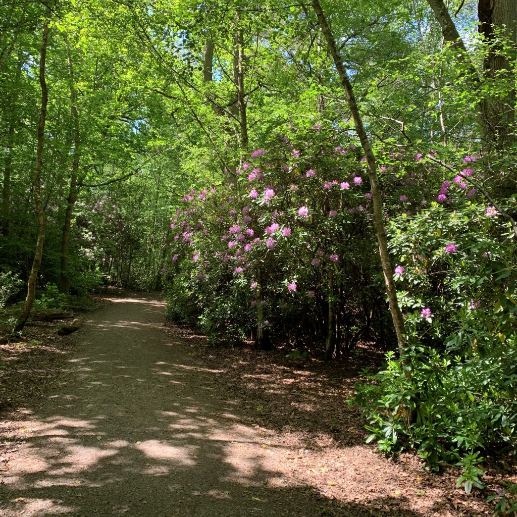 Let's Ride - Discover the Green Loop