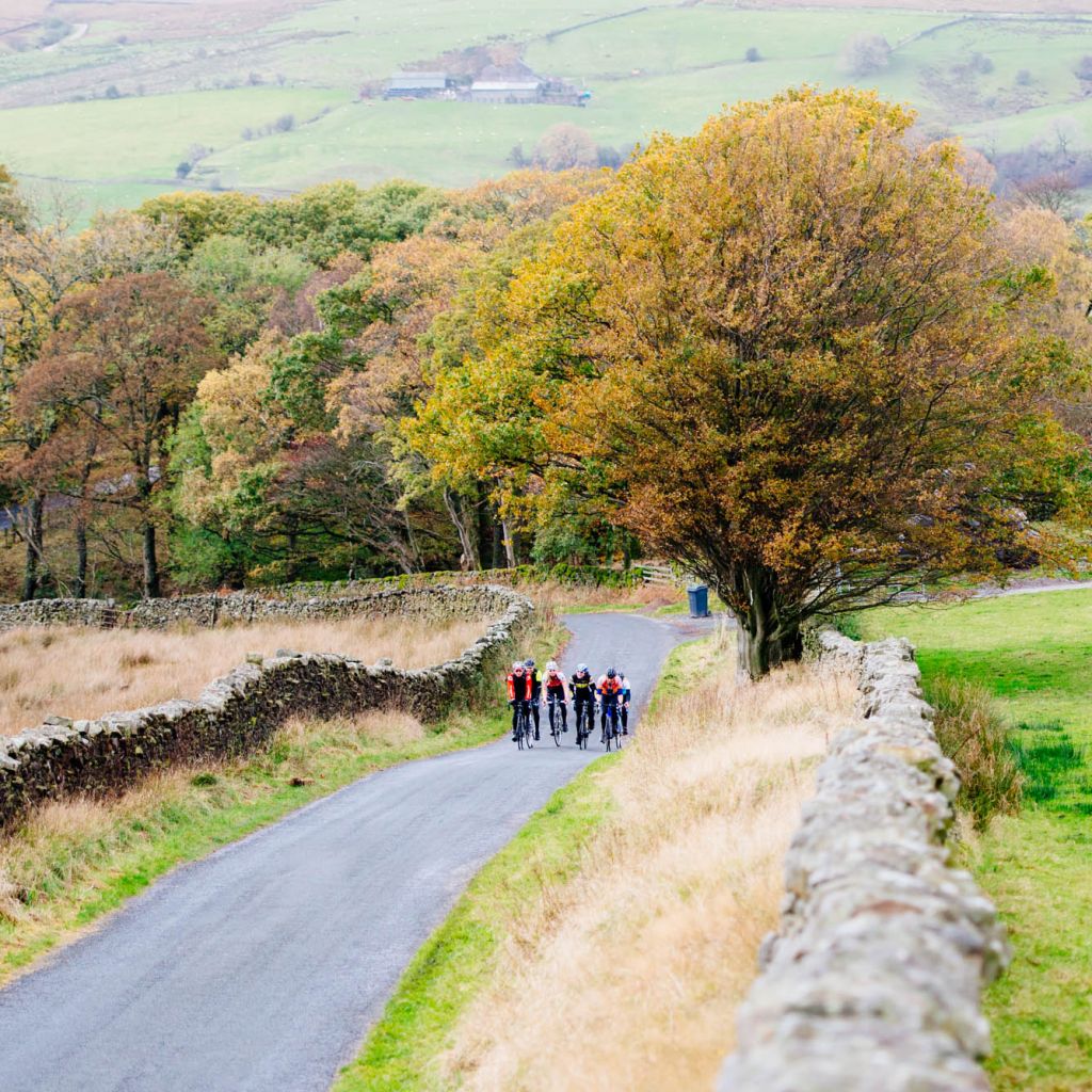 Let's Ride - Blue 11 - 13 - The Cherry on the cake