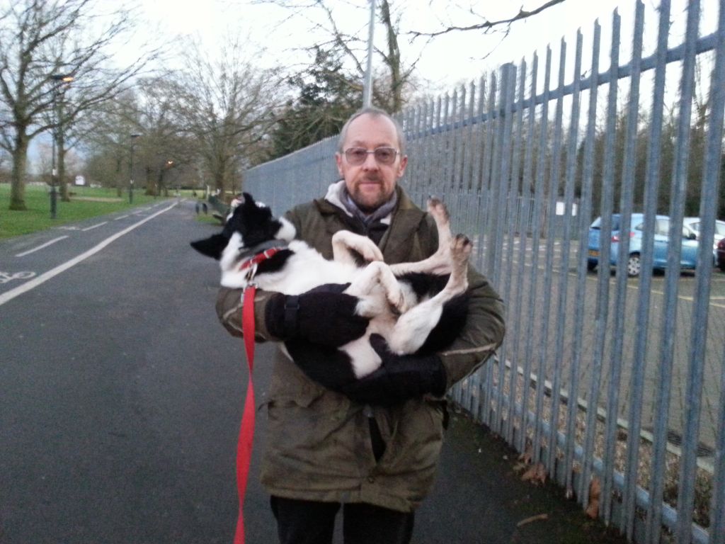 Let's Ride - Dave Grover